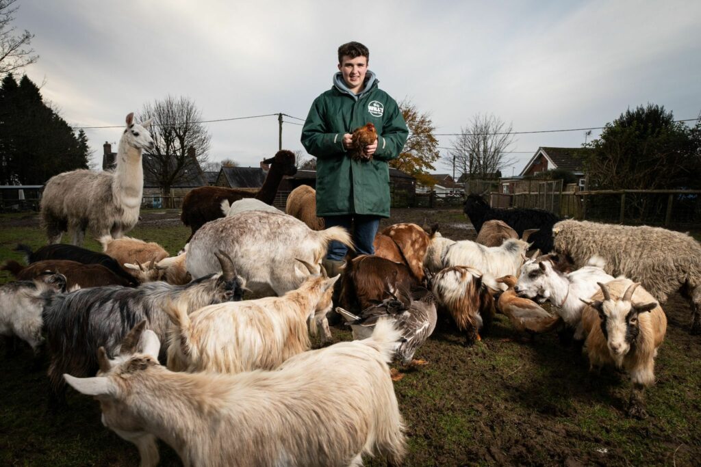 About – Will's Petting Farm