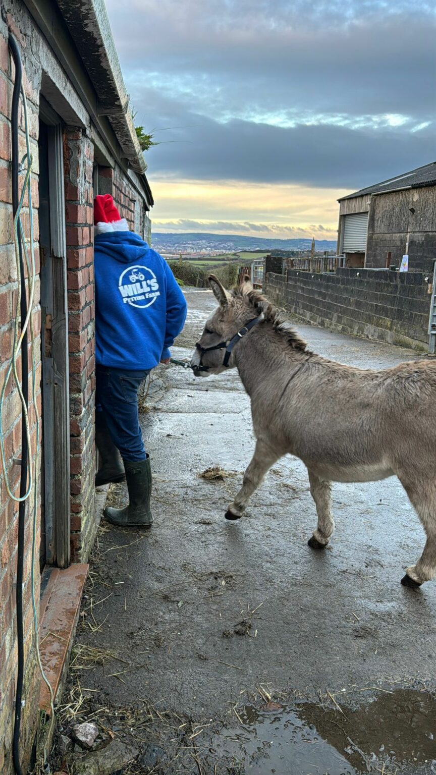 Will's Petting Farm – Get ready to meet and greet our amazing animals ...