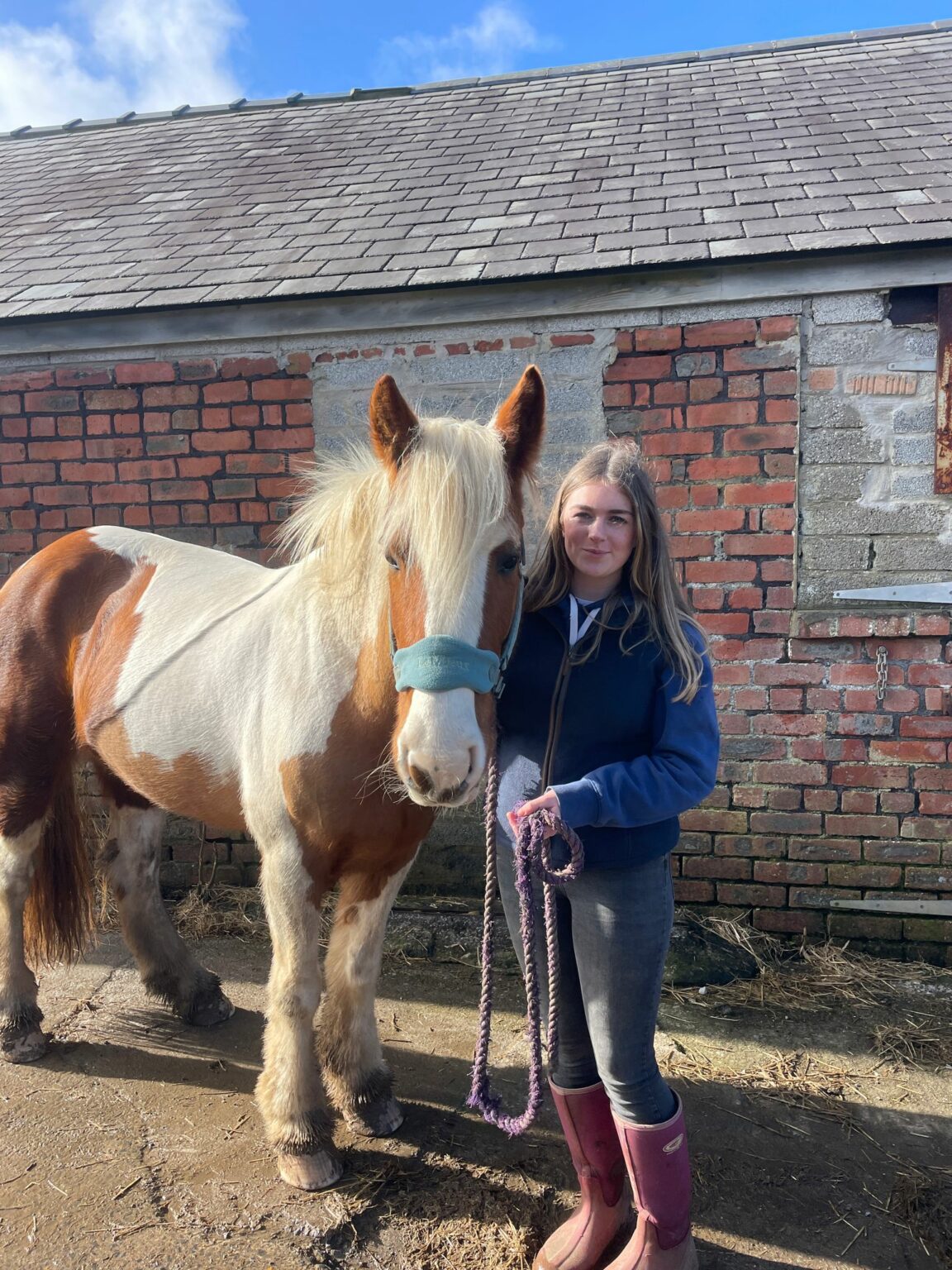 Will's Petting Farm – Get ready to meet and greet our amazing animals ...